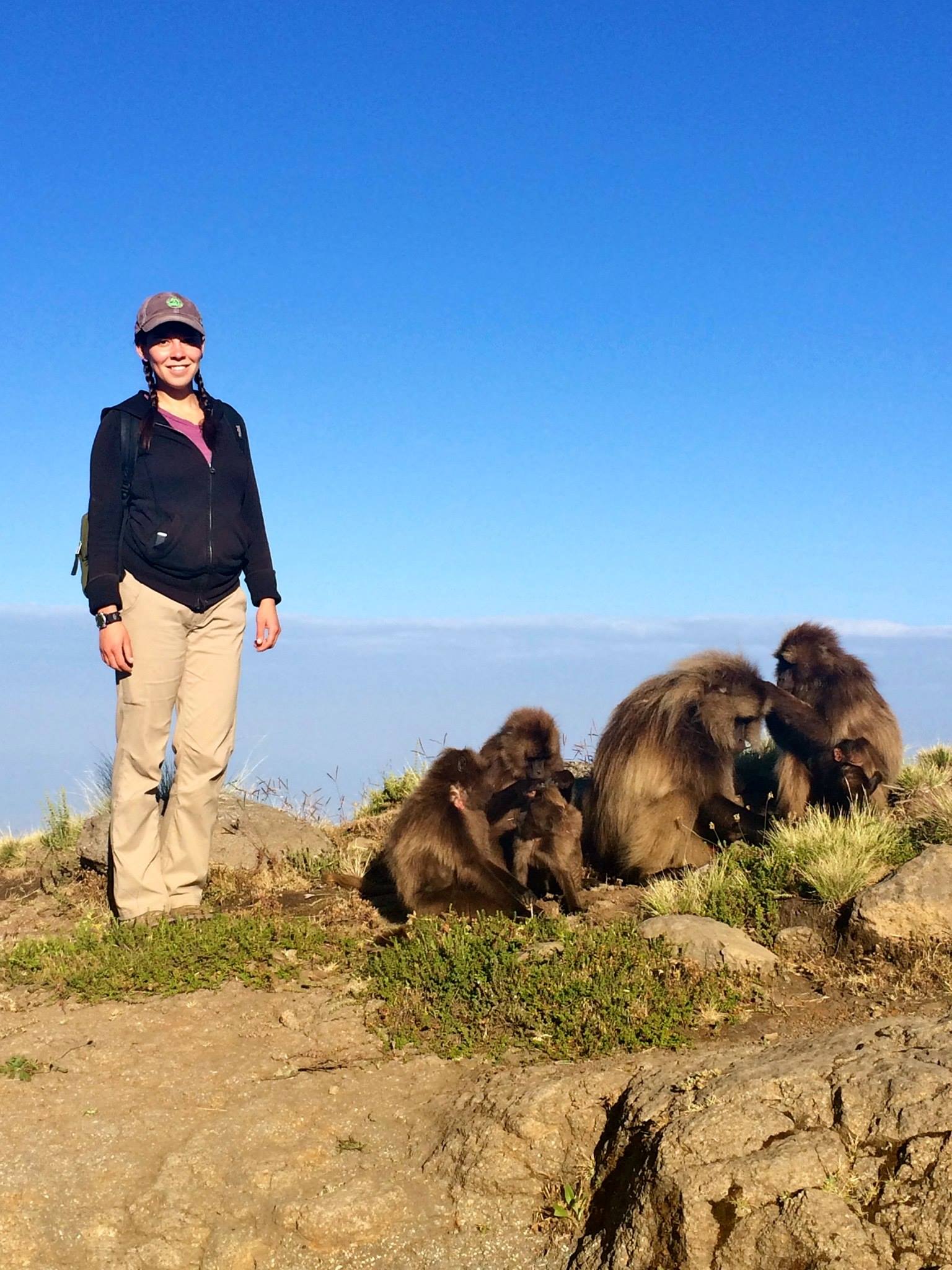 IPS | Grantee Spotlight: Research Grant 2016 – Rachel F. Perlman